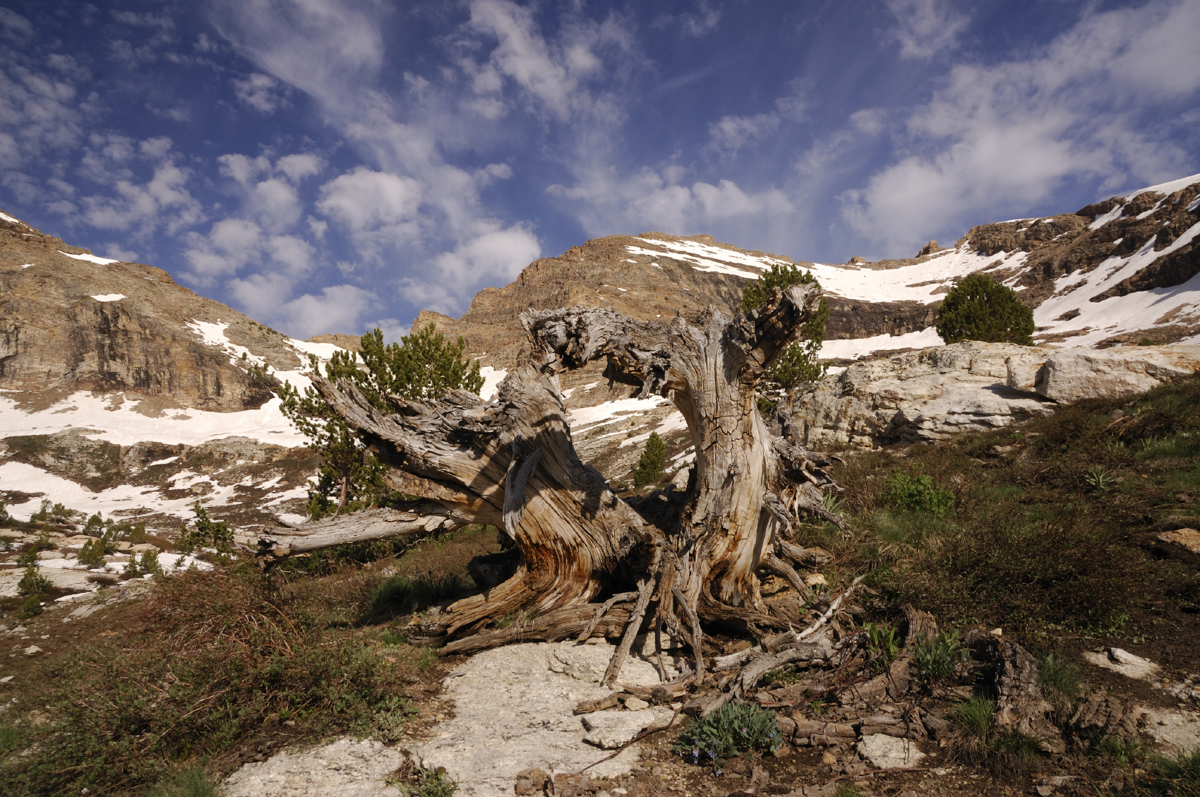 Guest post: Minerals: The bedrock of Nevada and our nation’s economy ...